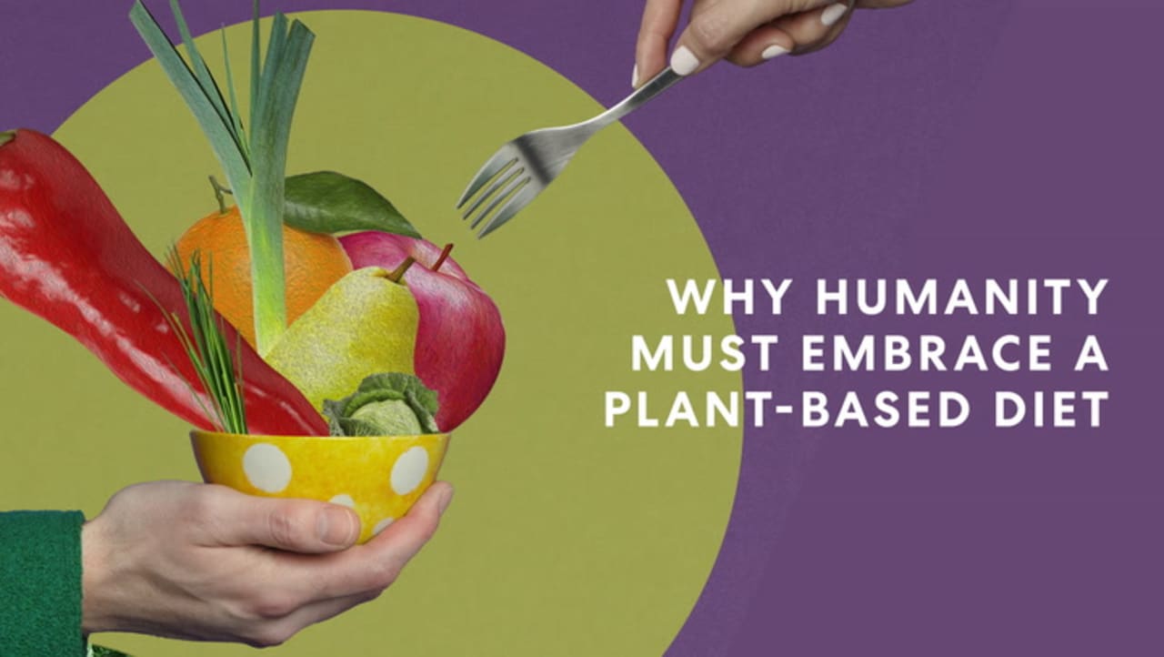 Why humanity must embrace a plant-based diet | Video – Fast Company