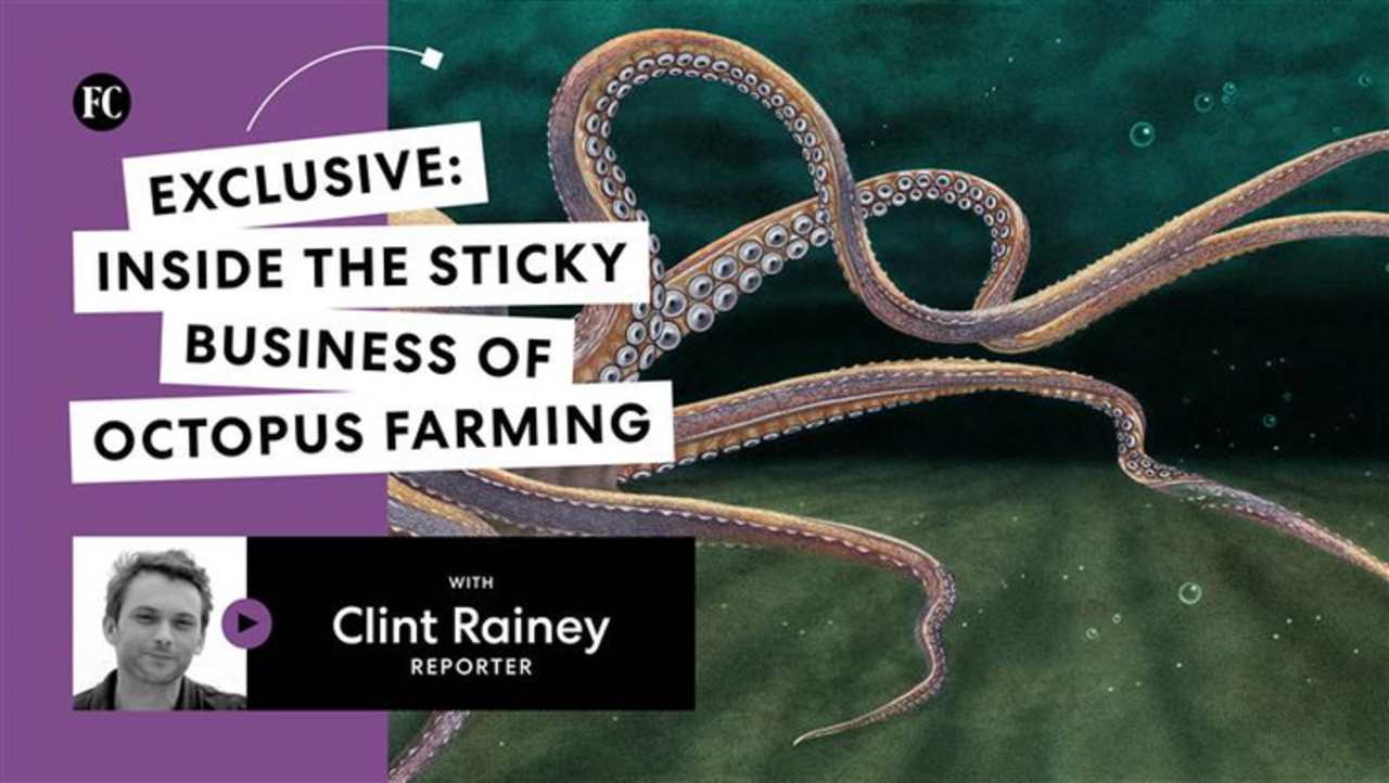 Octopus Prime: Inside a growing and controversial farming effort ...