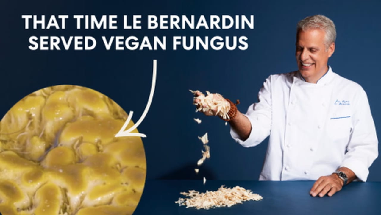 NASA's new frontier is sustainable fungi for your dinner | Video – Fast ...