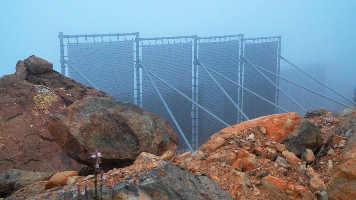 Harvesting fresh water from fog in Ait Baamrane, Morocco