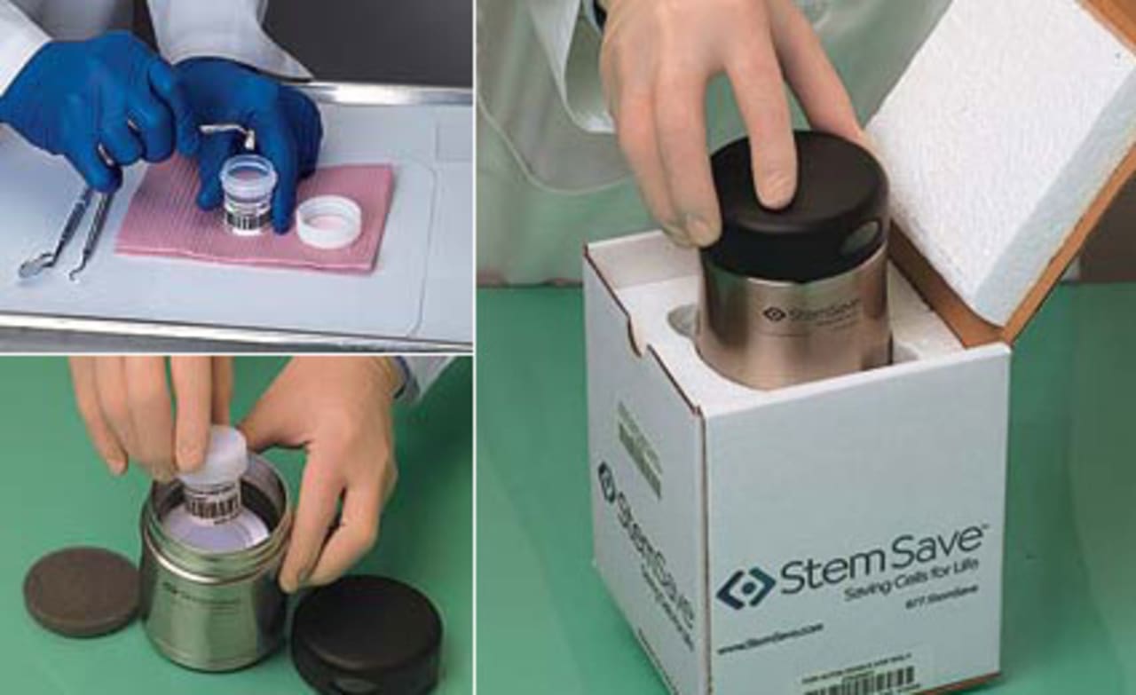 Banking Stem Cells For Future Use