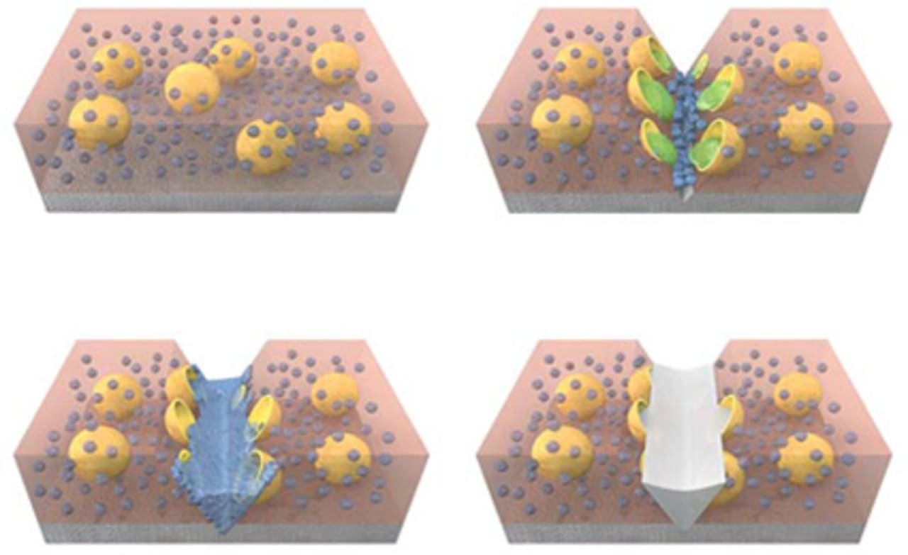 Self-Healing Paints Clot Like Blood