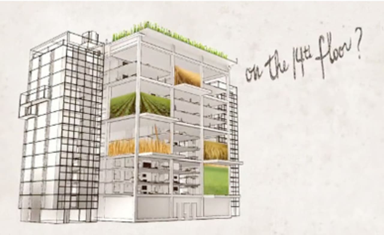 Living Climate Change: Design Thinking to Solve the World’s Biggest Pr