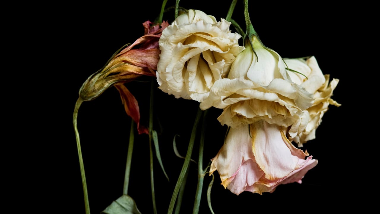 Visualizing The Death Tolls Of The World’s Most Horrific Disasters