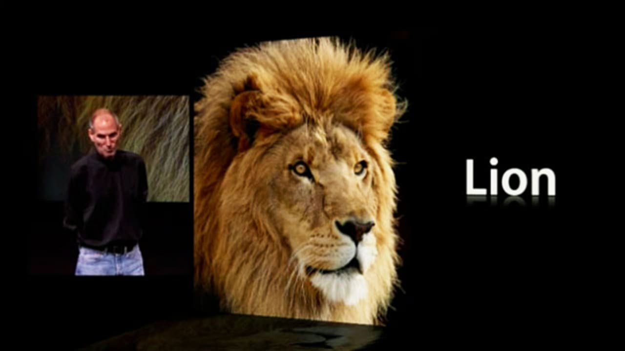 Five Leadership Lessons From the Lion Launch Five Leadership Lessons From the Lion Launch