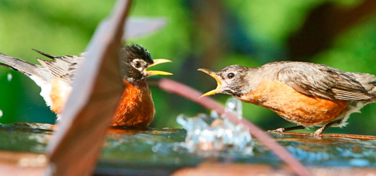 If Your Employees Are Squabbling, Your Company’s Probably Standing Sti