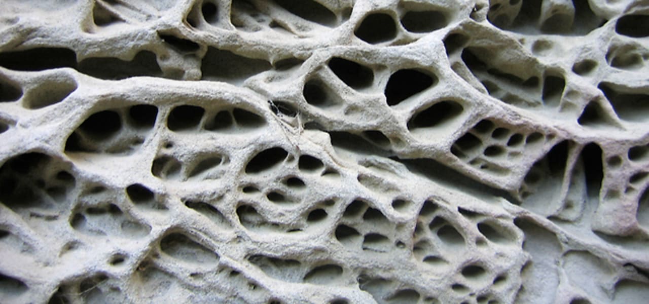 Making Cement The Way Coral Does It: Out Of Thin Air