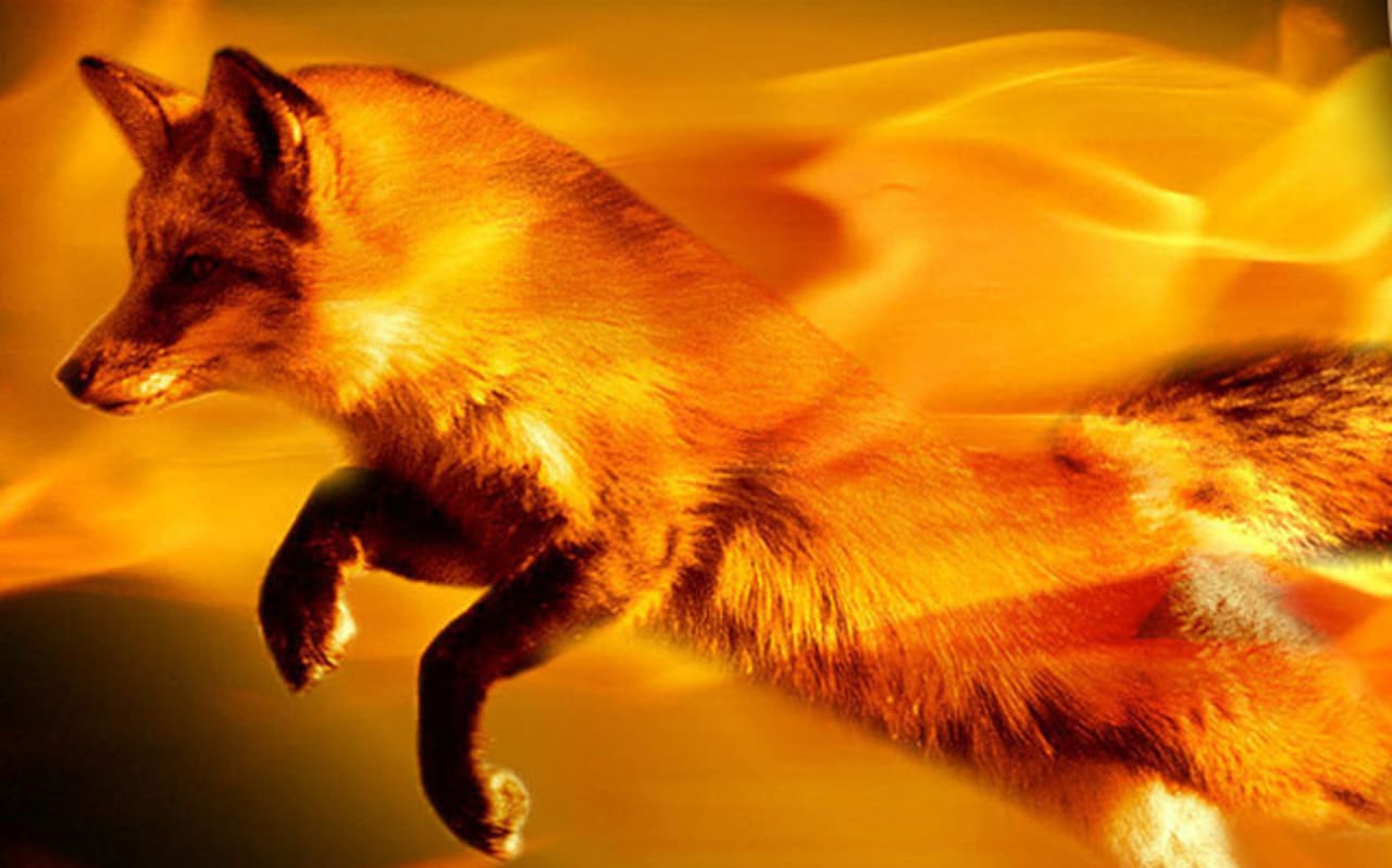 Mozilla’s New Social API Lets You Bring Facebook Along Wherever You Su