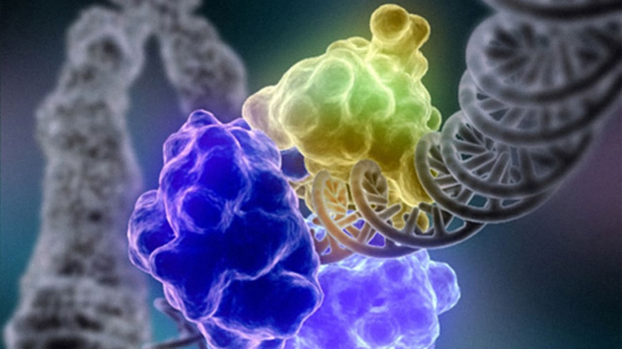 DNA Hacking Is Now Street Legal