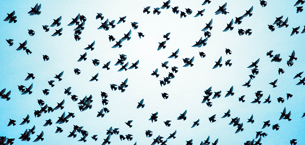 Follow This: 16 Twitter Stars To Add To Your Feed Now