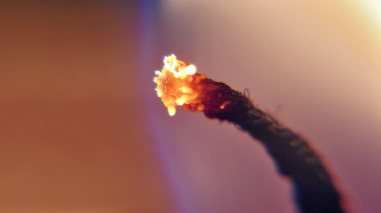 Why “Hire Slow, Fire Fast” Is A Better Idea Than You Think