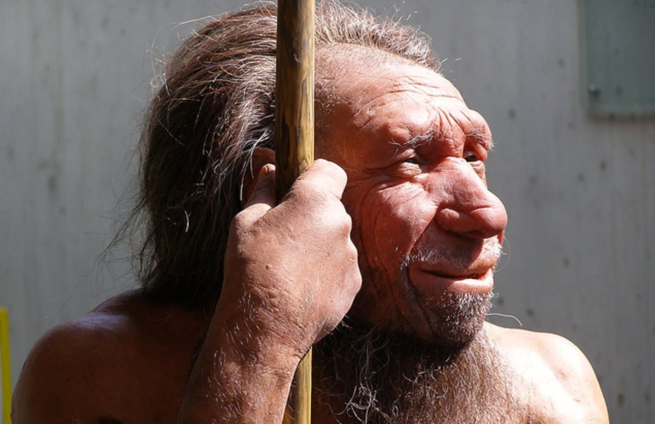 Entire Neanderthal Genome Mapped For The First Time