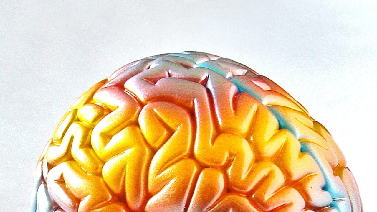 White House Reveals $100 Million Brain Study Plan