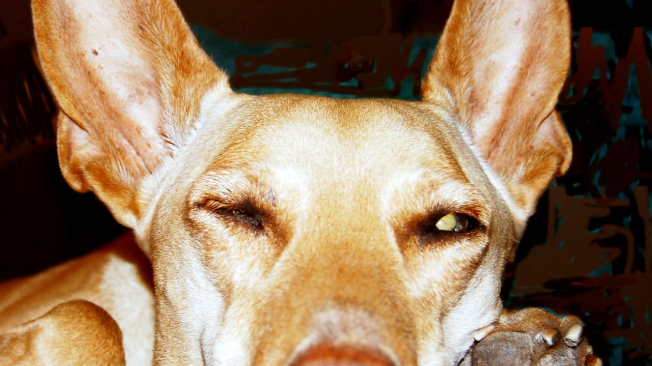 Winky App Lets You Take A Photo On Google Glass In The Blink Of An Eye