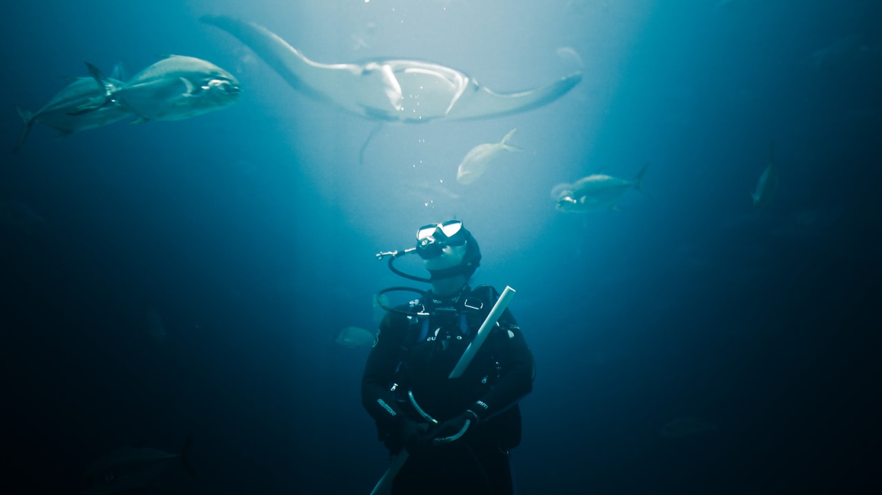 Are These The 3 Most Awesome Jobs?