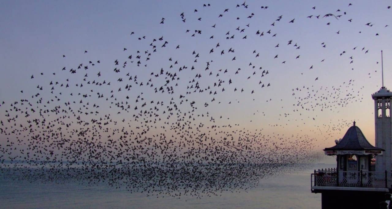 How Twitter Keeps Its Billions Of Messages Flying Through The Air