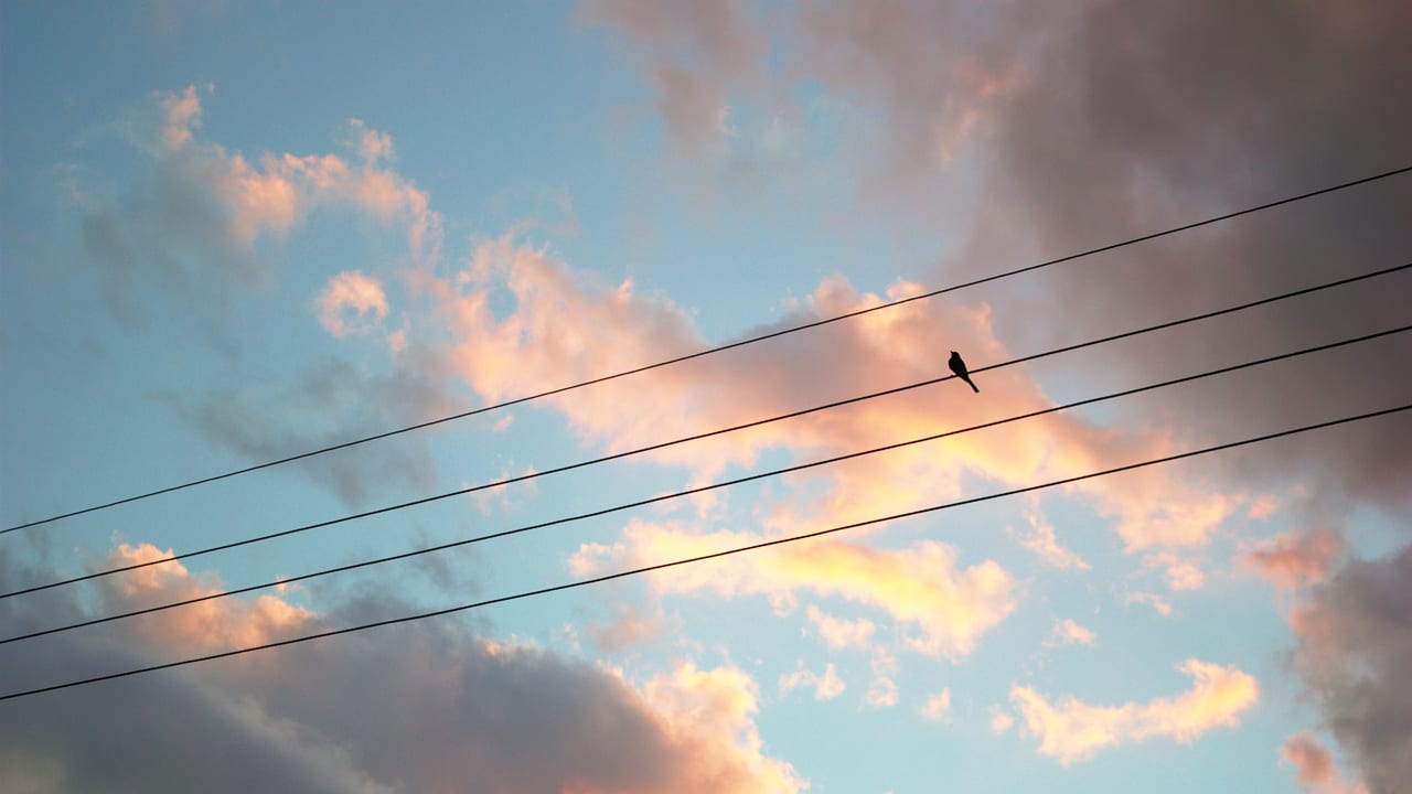 Twitter’s First Day As A Public Company Was Strong. Now What?