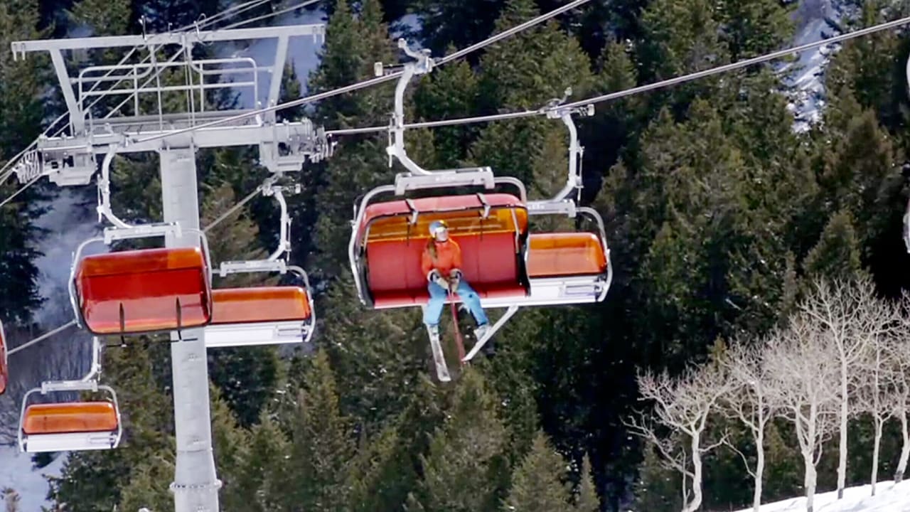 Embracing A Dynamic Life In Times Of Constant Change