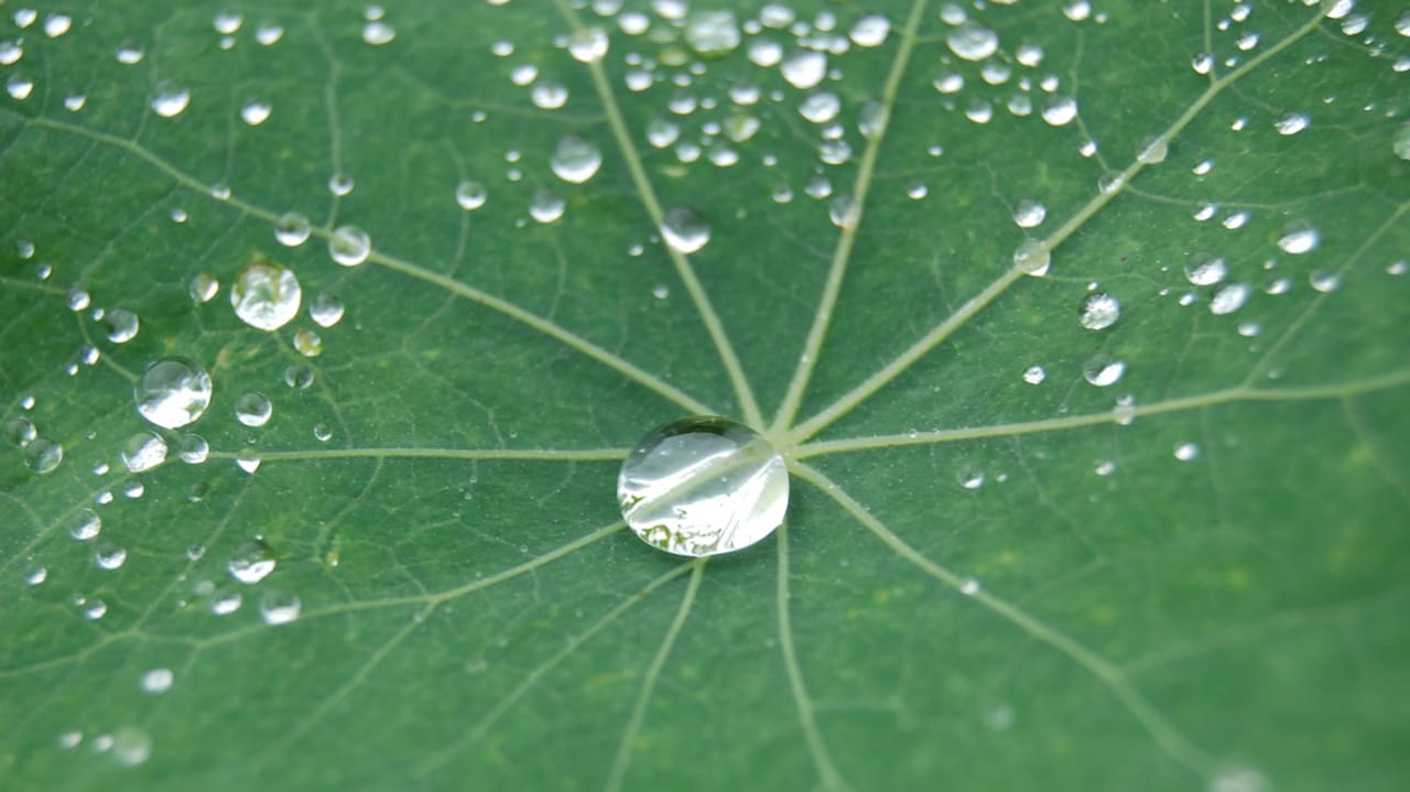 The “Most Waterproof Material Ever” Is Inspired By Nature