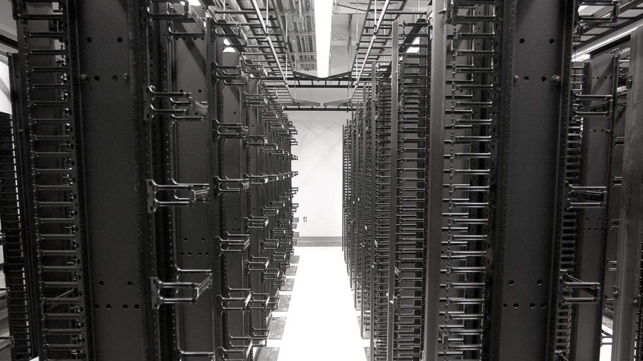 Invisible Networks: One Woman’s Fantastic Quest to Photograph the Livi