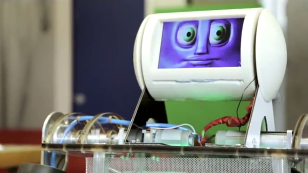 Robbie The Robot Will Be Hands And Legs For Limbless Woman