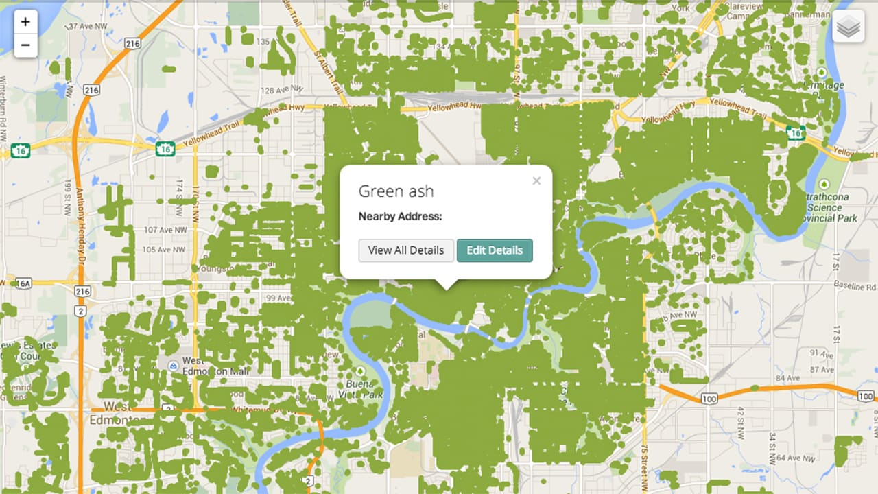 Mapping Trees To Figure Out Just How Good For Us They Are
