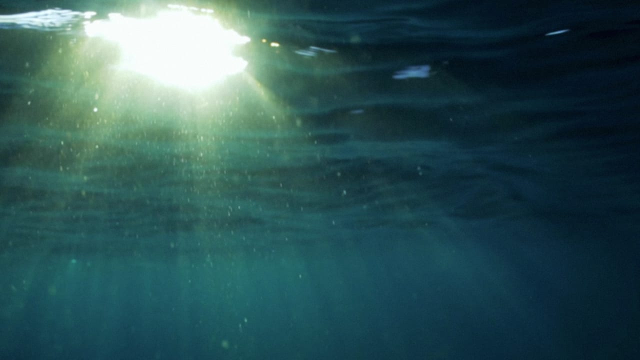 This Interactive Site Gives You A Taste Of What It’s Like To Drown
