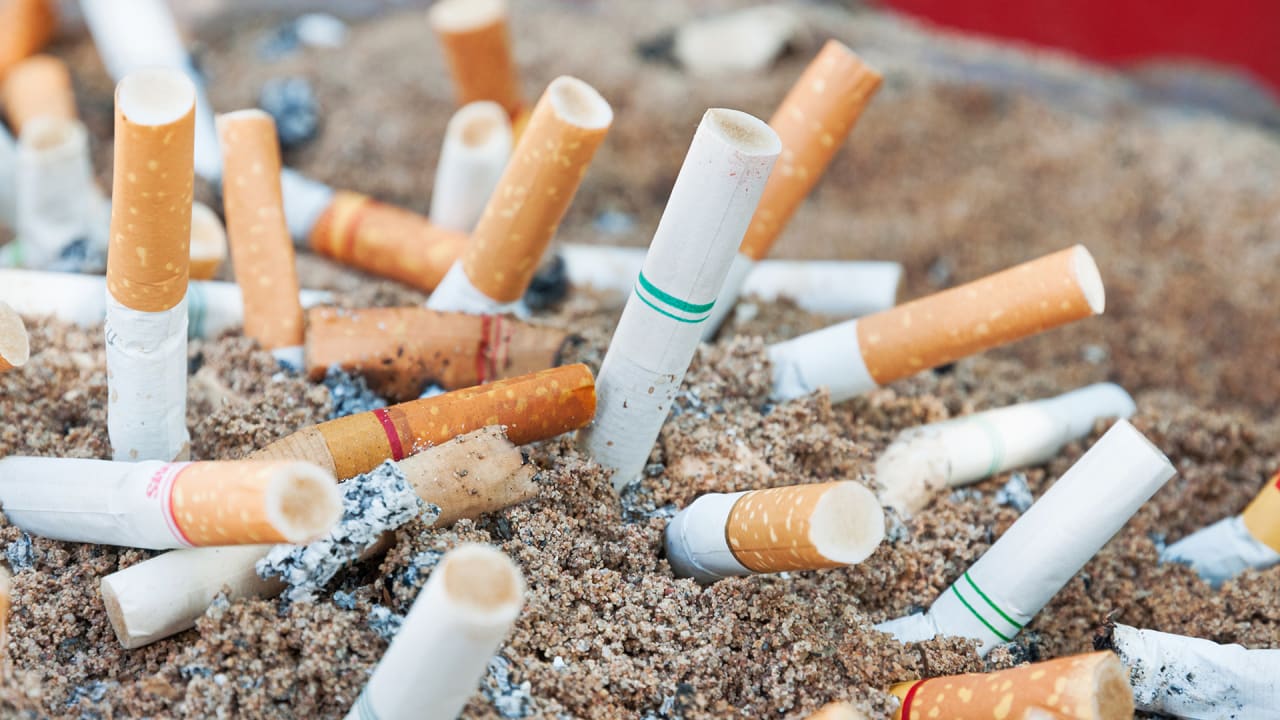 The Cigarette Litter Menace: Is It Time To Ban Cigarette Butts?