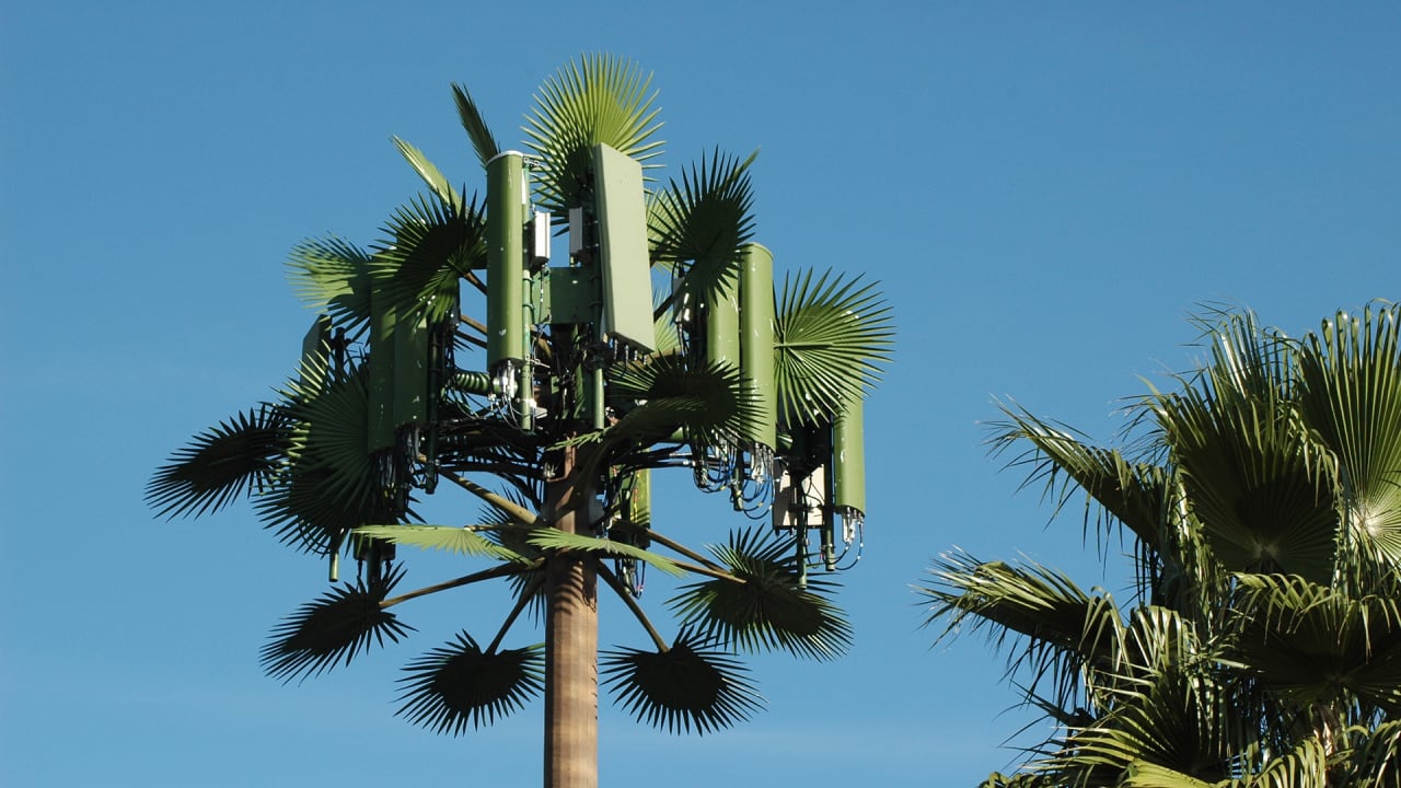 Why Do Some Cell Towers Look Like Trees at Jerry Eberhardt blog