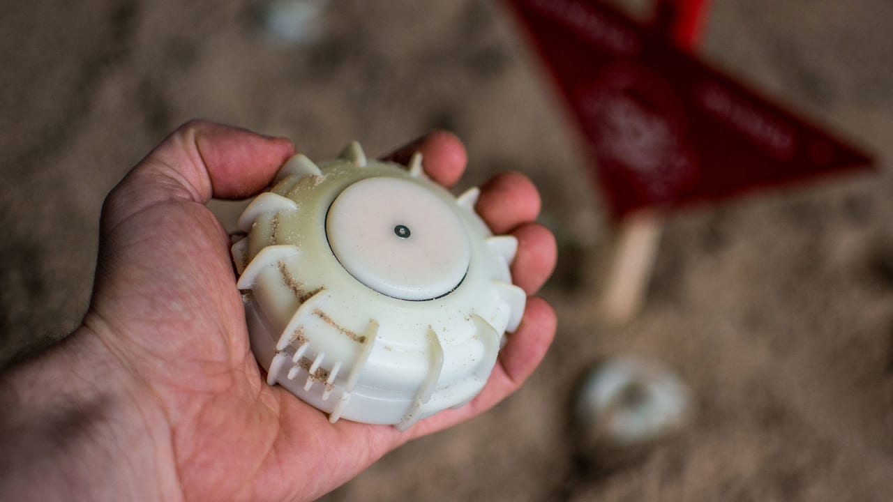 These Fake Landmines Will Help Us Dig Up Real Ones