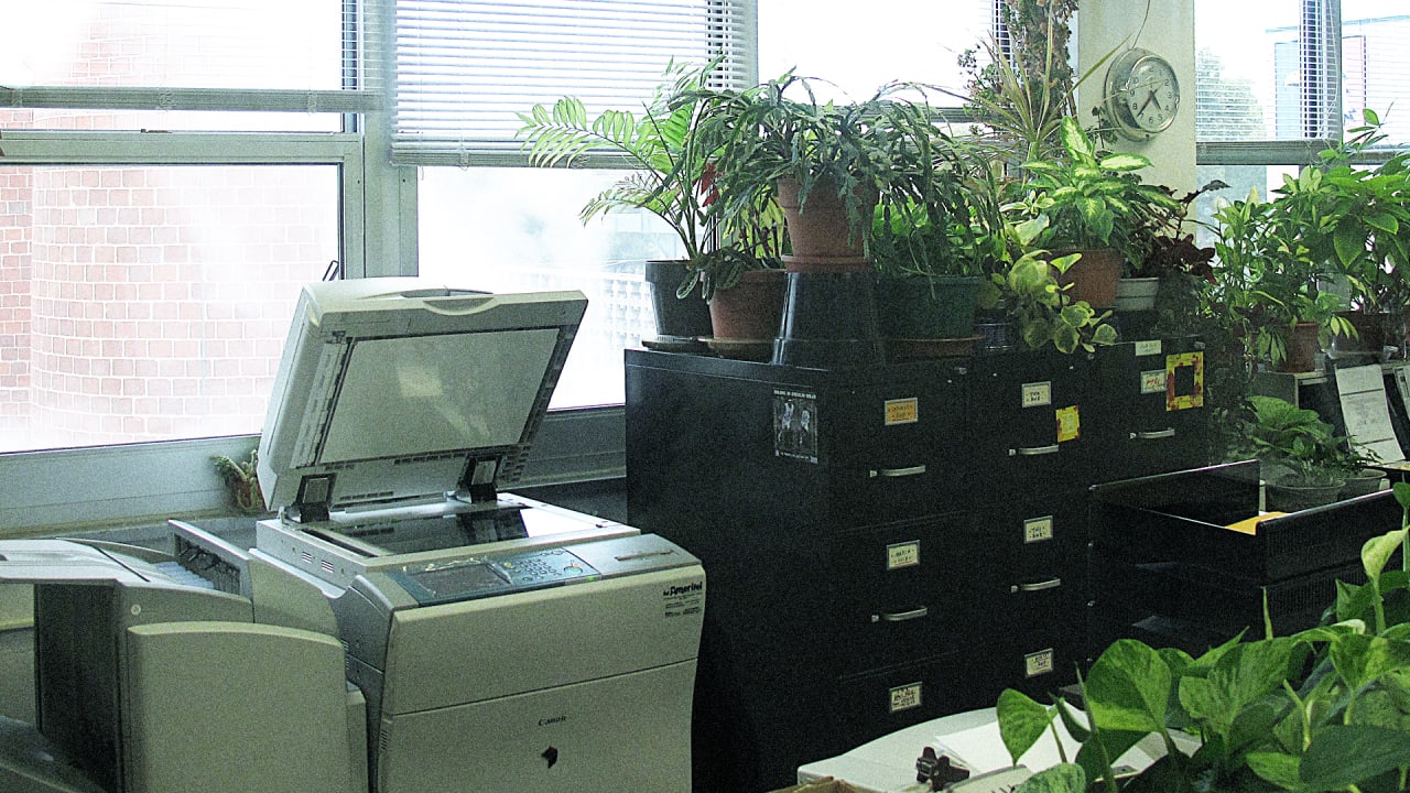 5 Ways Green Office Design Also Makes Workers Happier And More Product