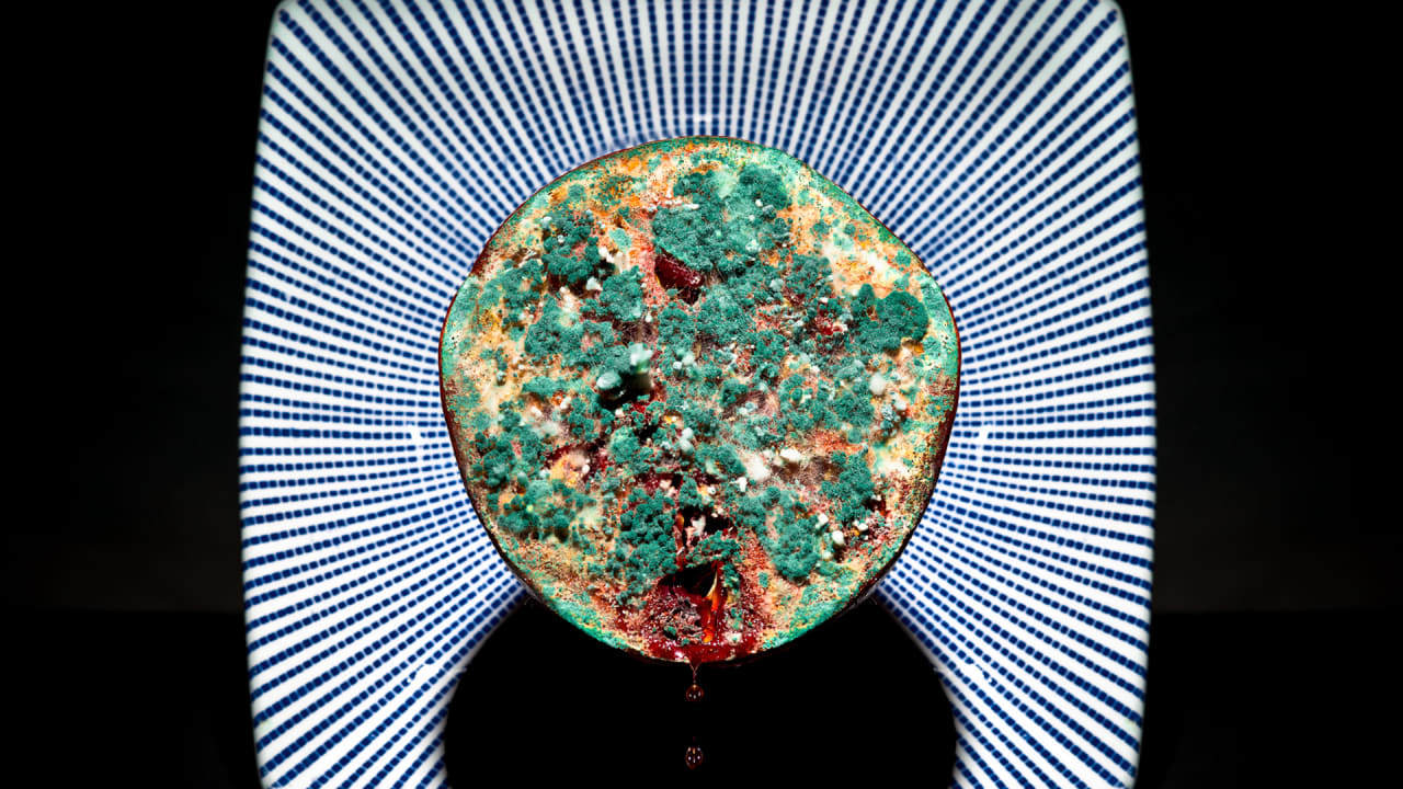 These Sickeningly Beautiful Photos Of Rotting Food Remind You How Much