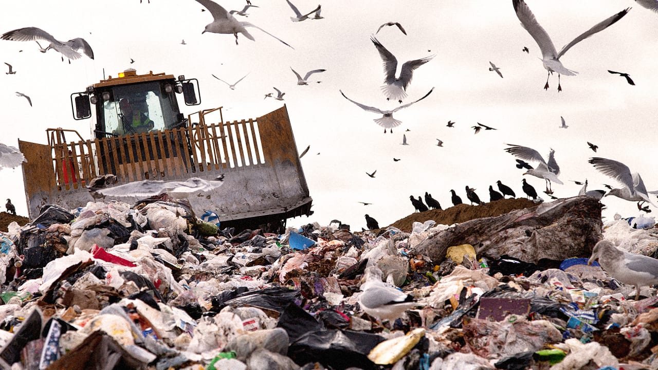 This Startup Wants To Reinvent How Businesses Deal With Trash