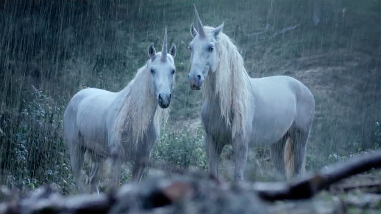 Scarcity Of Unicorns Explained In Biblical New Canal+ Ad Scarcity Of Unicorns Explained In Biblical New Canal+ Ad