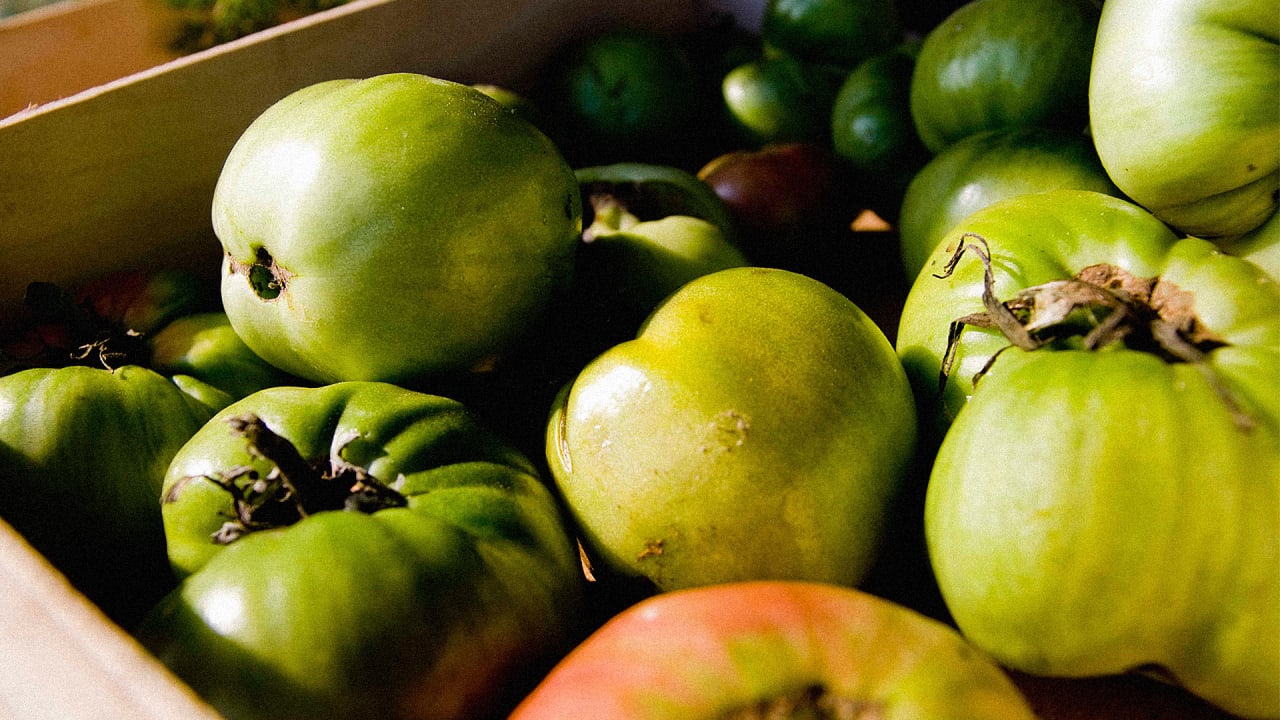 This Simple Gadget Could Help Your Fruit Last Three Times Longer