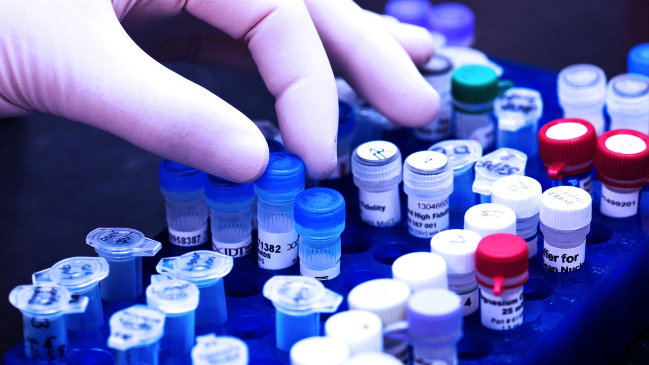 U.K. May Make It Legal To Genetically Engineer Children