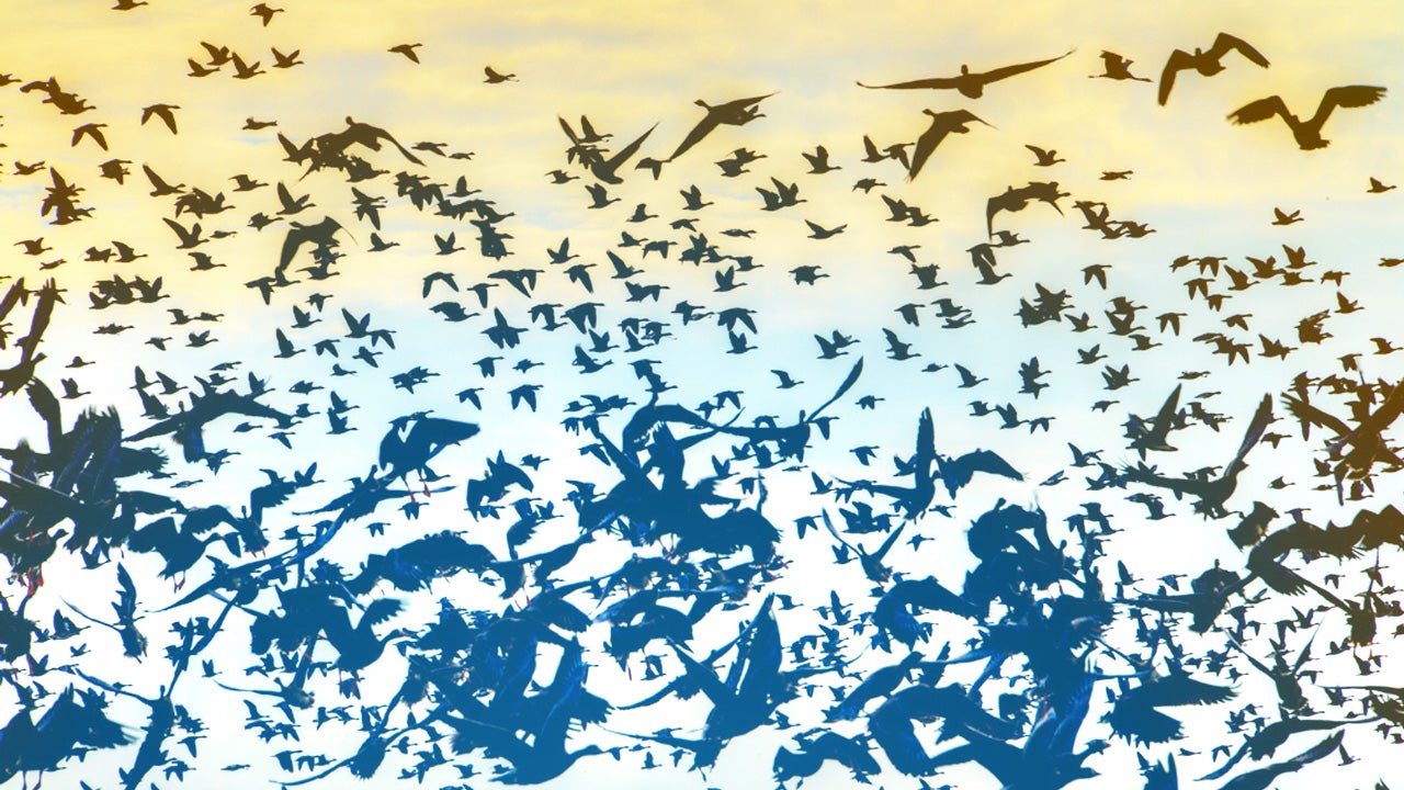 Twitter’s Transparency Report Reveals The World’s Most Data-Hungry Gov