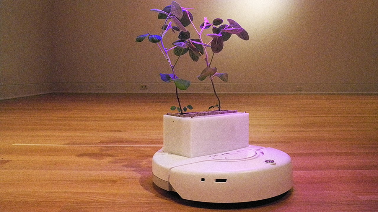These Strange Plant Robots Move To Where Light Takes Them