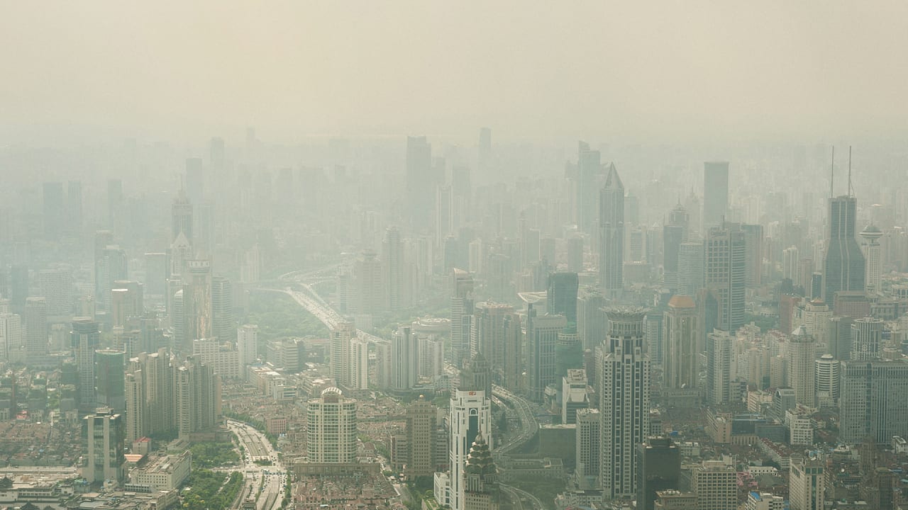 In China’s Great Green Wall, 66 Billion Trees Are Sucking Up Carbon Em