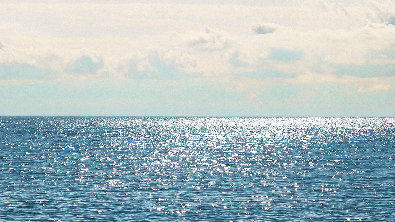 This Fake Coral Sucks Up Mercury Pollution For A Cleaner Ocean