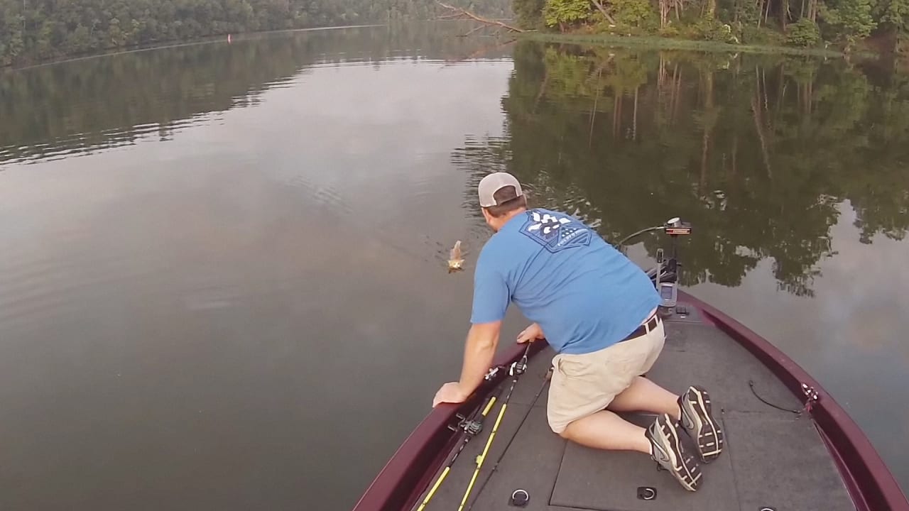 The New Catfishing: Watch Fishermen Rescue Two Kittens Stranded In A R