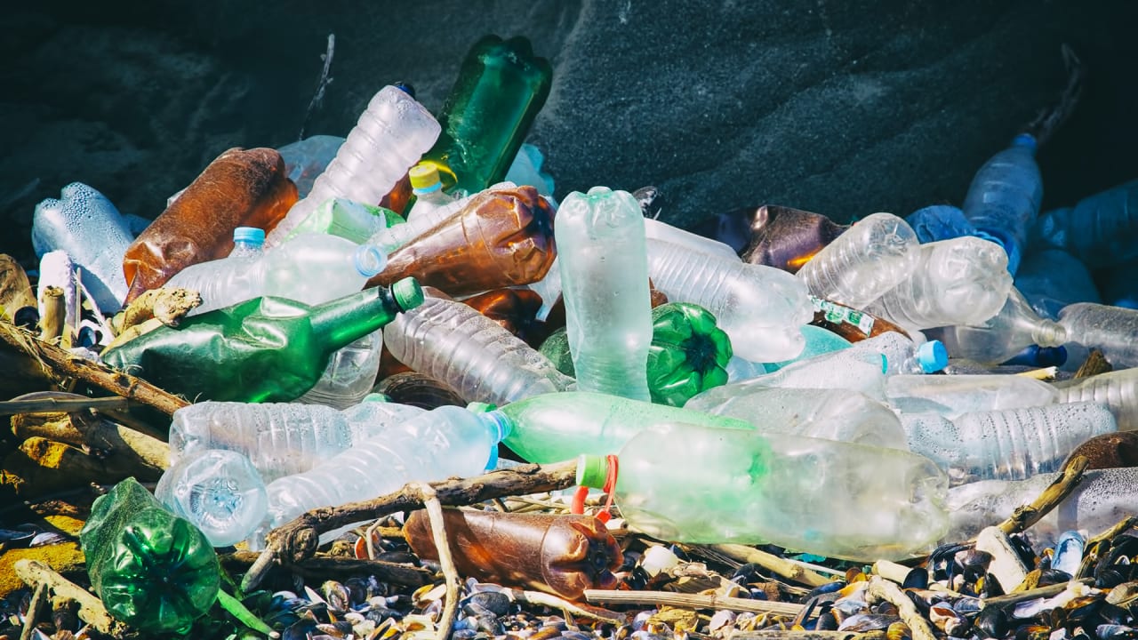 Most Of The Plastic In The Ocean Comes From Just A Few Polluting Count