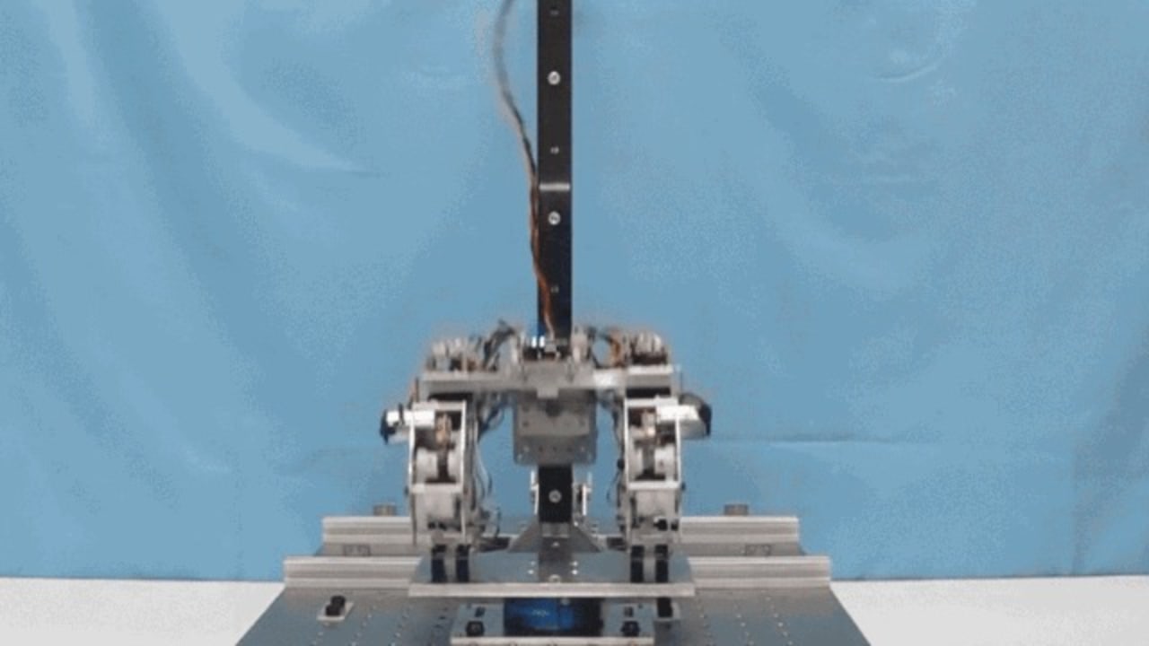 These Mechanical Cat Legs March Us Toward The Robopocalypse
