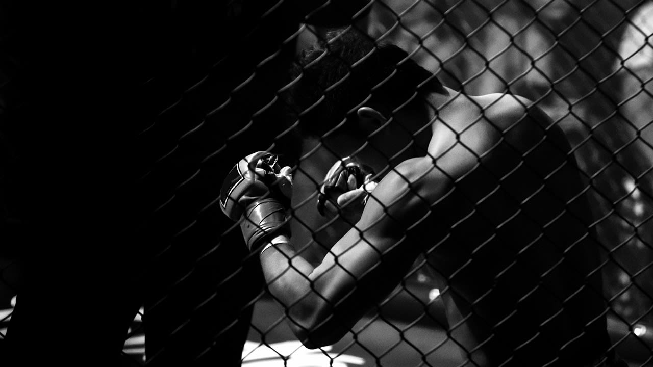 The Theory That Human Fists Evolved For Punching Is Put To A Macabre T