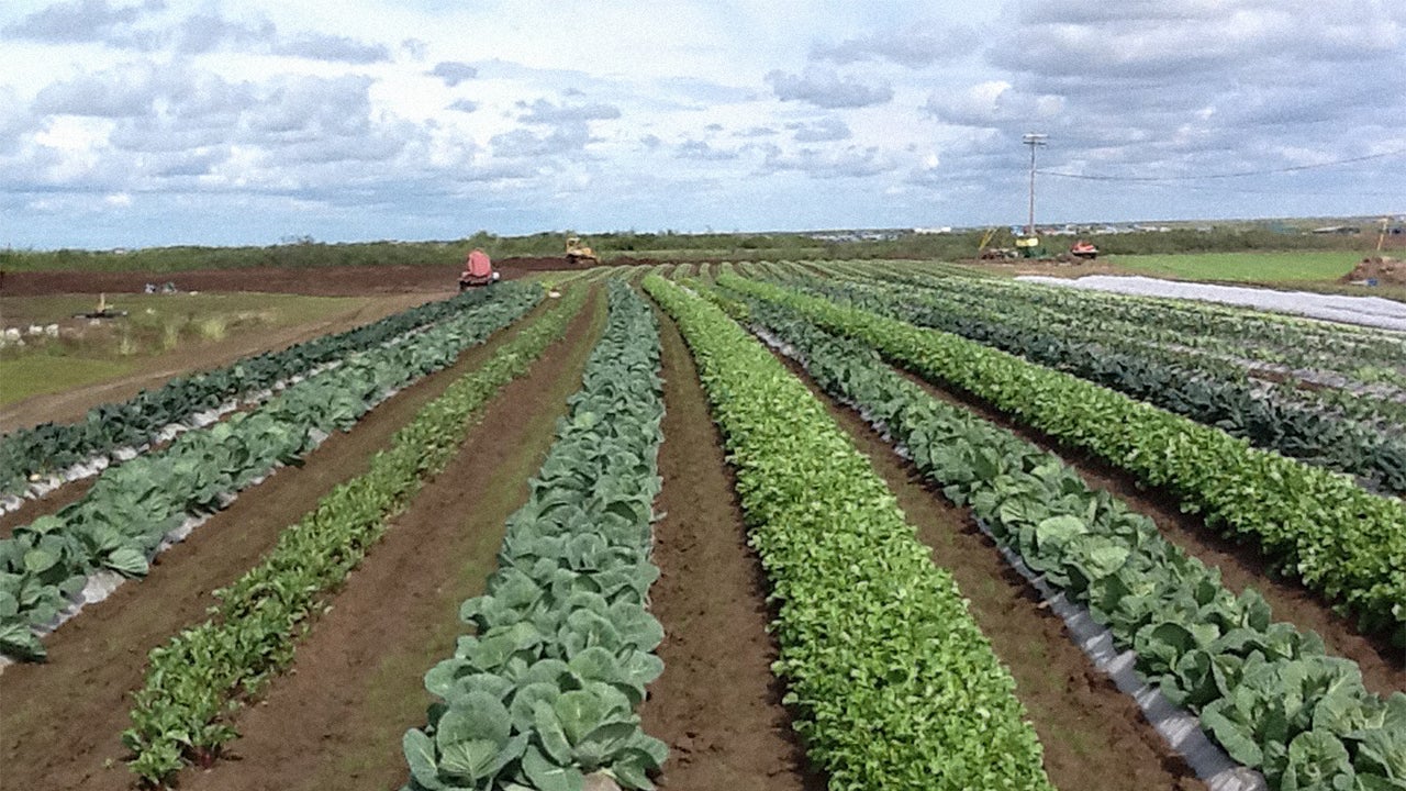 Climate Change Is Making It Possible To Farm The Alaskan Tundra