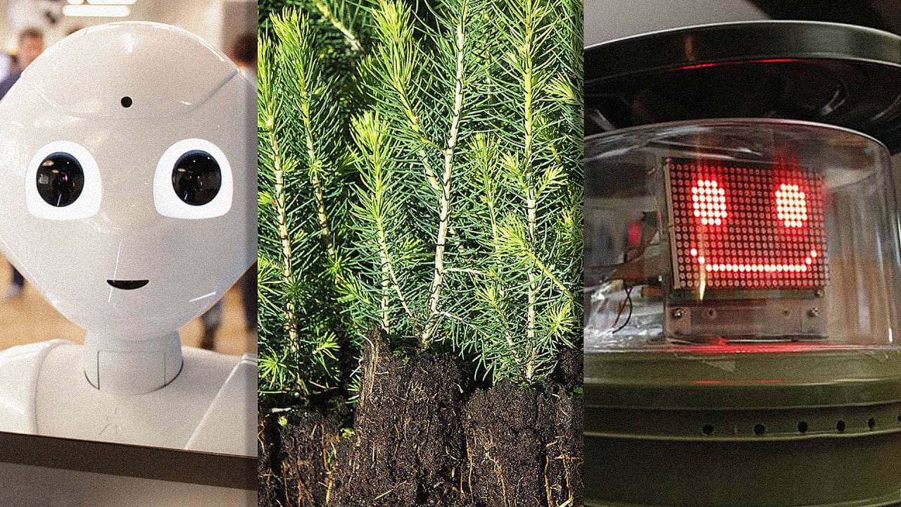 We Will Remember 2015 As The Year The Robot Revolution Began