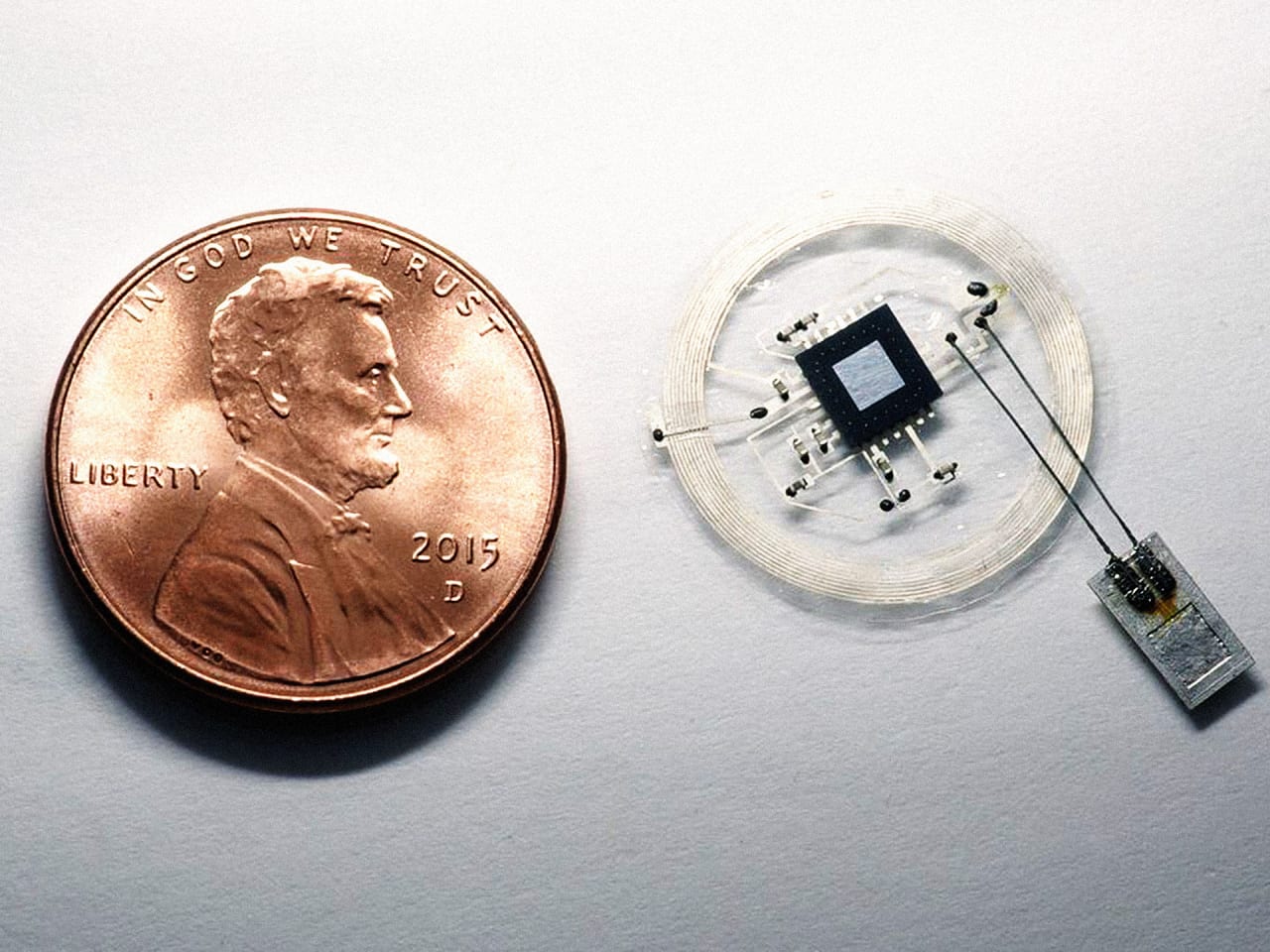 This Tiny Sensor Dissolves In Your Brain After Its Job Is Done