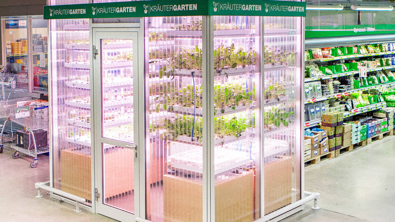 At This Supermarket, The Produce Section Grows Its Own Produce
