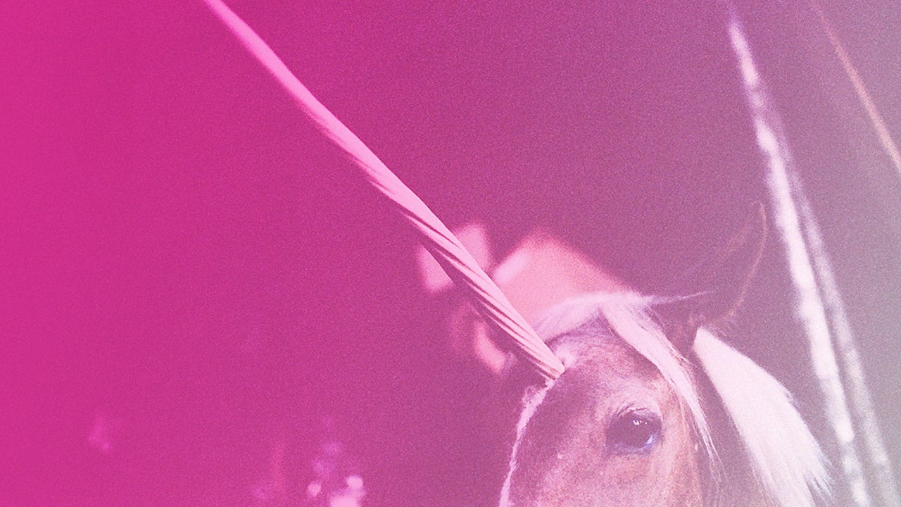 How A Practical Joke By CB Insights Skewering VC Culture Fooled Silico