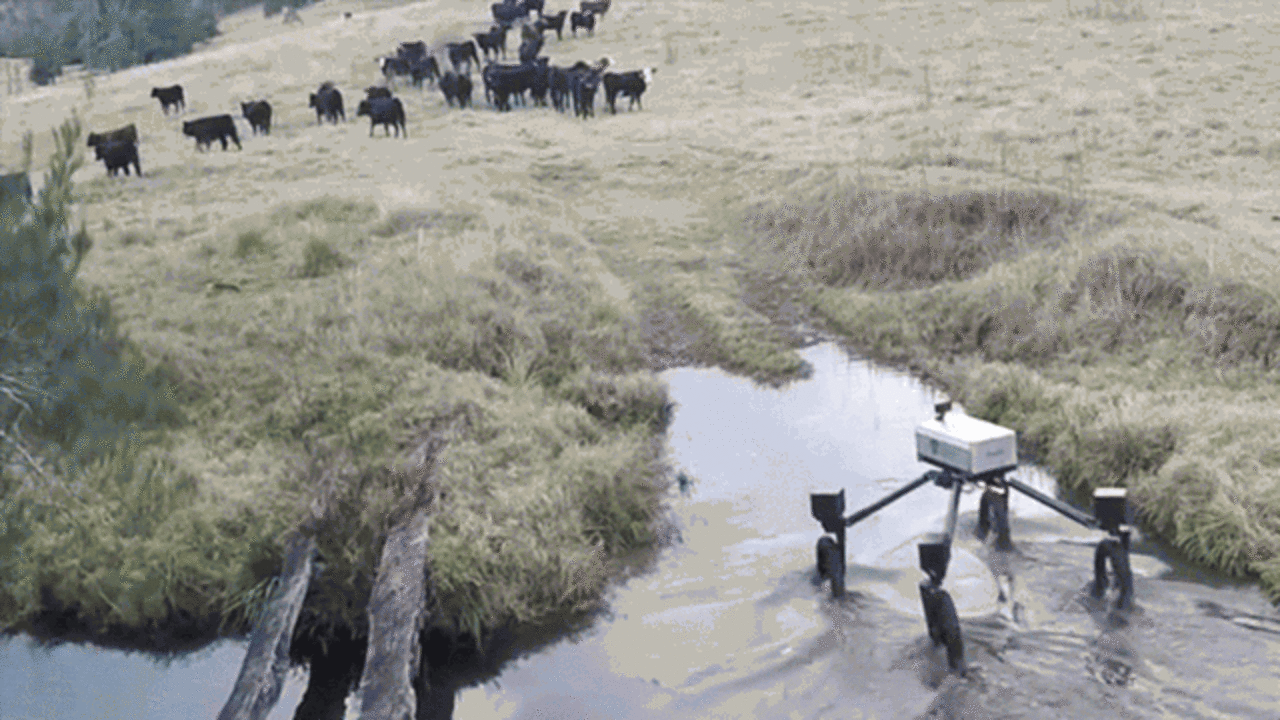 The Last Cowboy Standing Is Going To Be This Cattle-Herding Robot